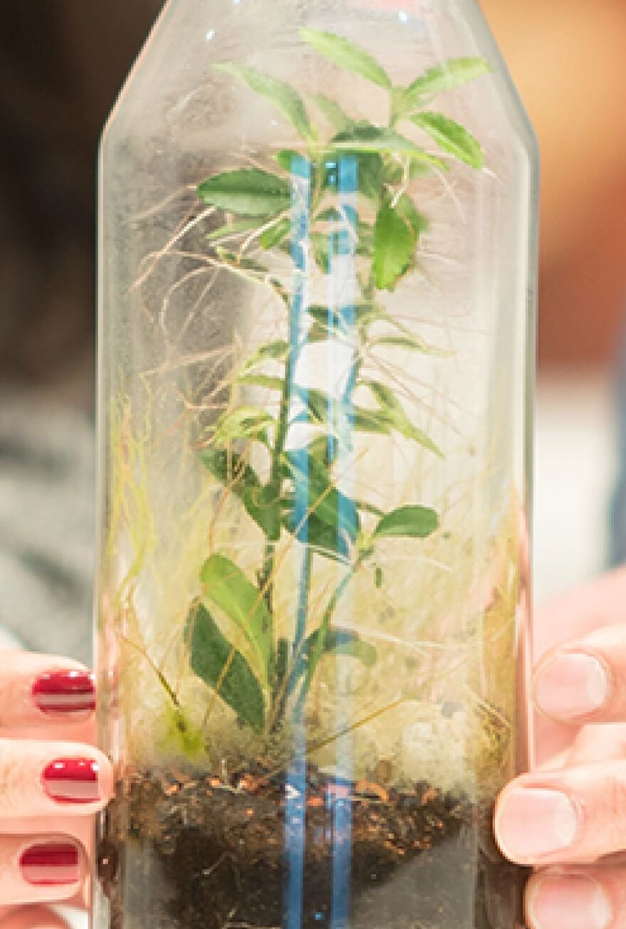 EQUATE Petrochemical - EFDA-7050 - LLDPE - Extrusion - Knowde