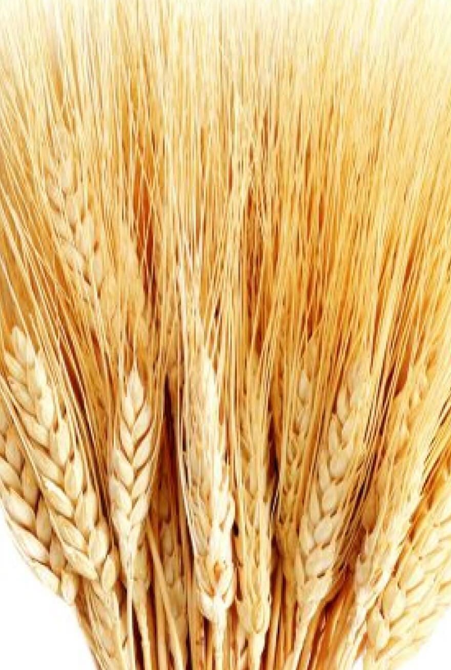 Additives - CASE Ingredients - ADDAPT Chemicals BV - Knowde