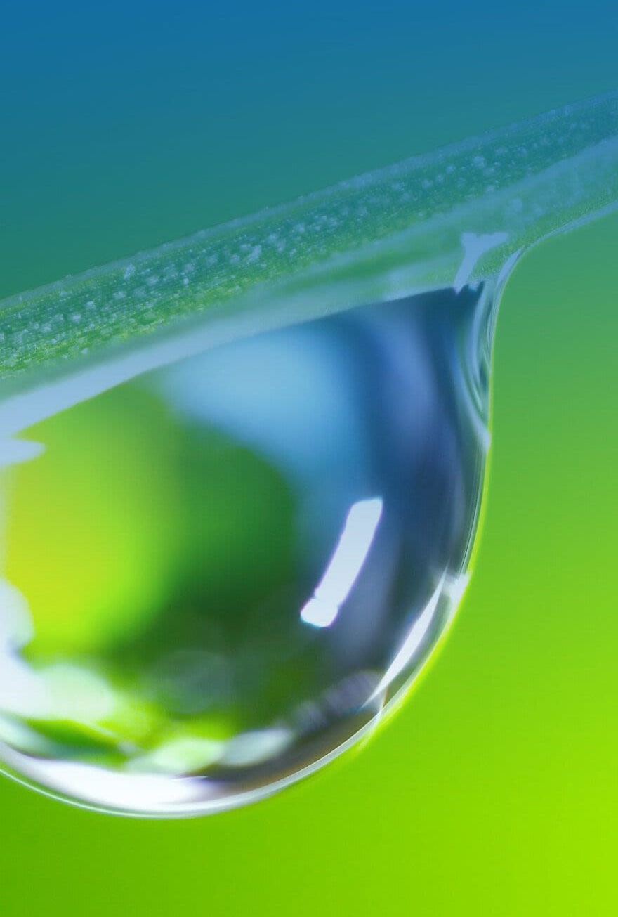 HEXAFOR 6242 - Maflon - Water Repellent - Fluoropolymers - Roller