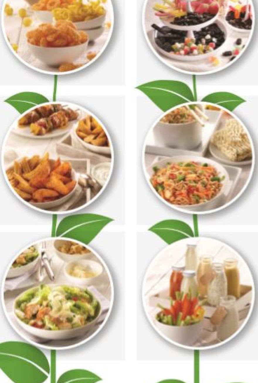 Emes E/E Modified Potato Starch - Emsland Group - Binder - Powder