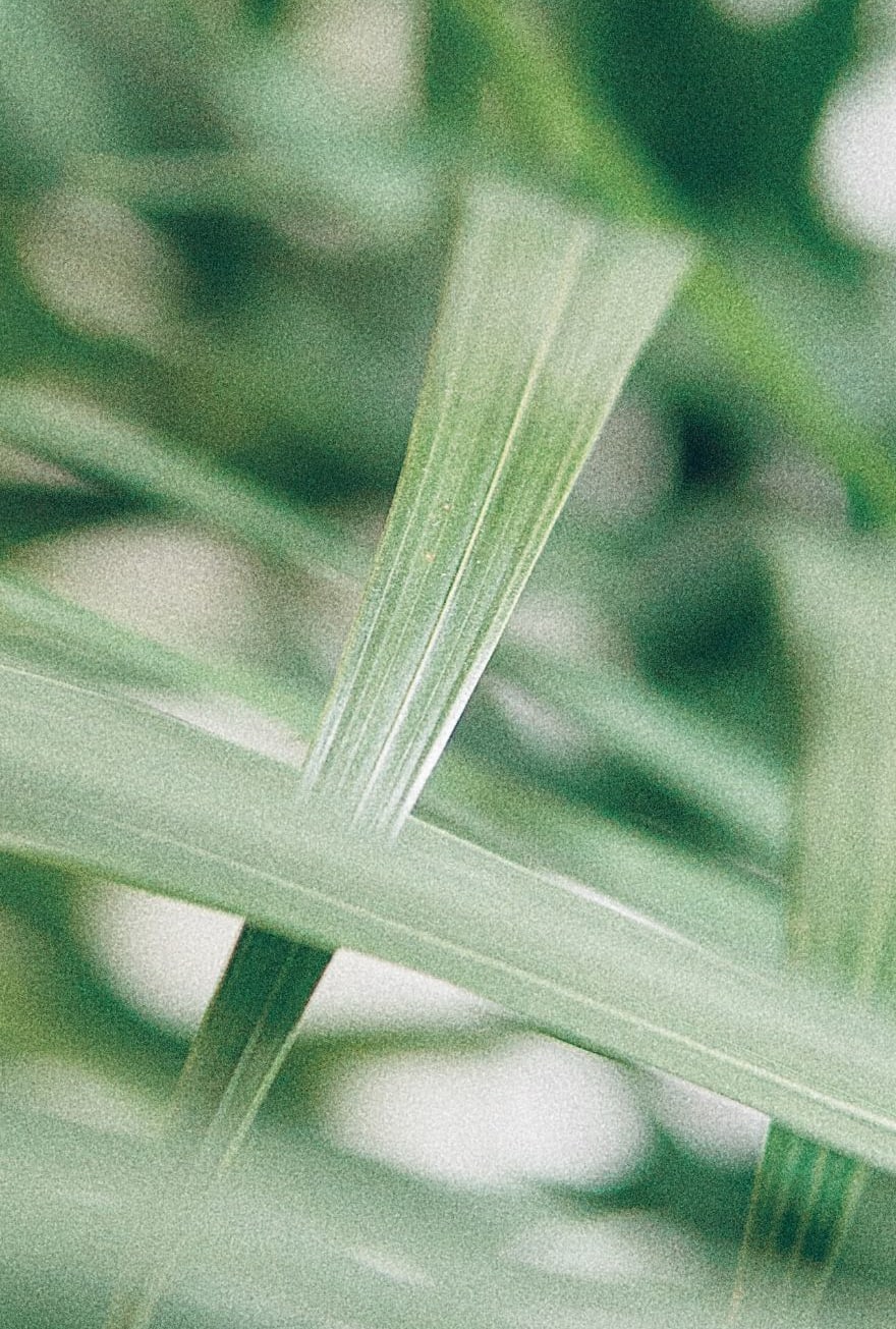 ALZO International Inc. - Knowde