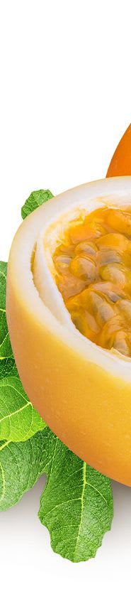 FRULIX MARACUJA (PASSION FRUIT) - Assessa - Caprylyl Glycol
