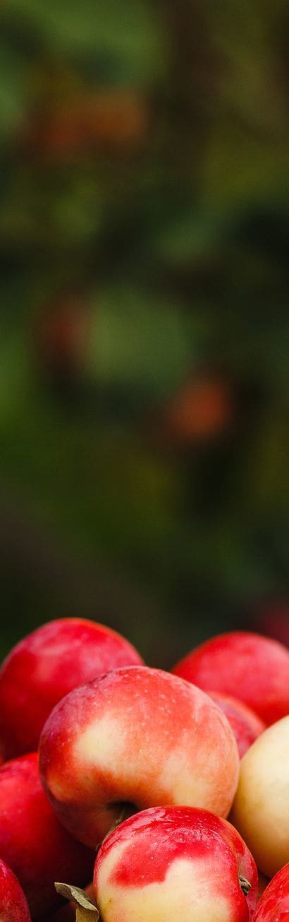 FruitSmart - Red Raspberry Seed Powder - Clean Label - cGMP