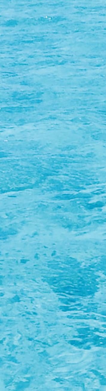 Calcean Minerals & Materials - Renewable - High-Performance