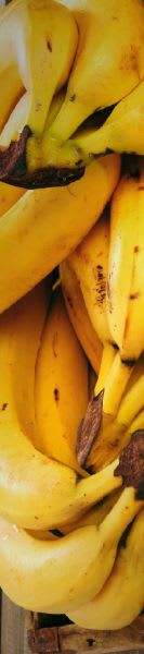 Aseptic - Banana Purée - Aseptic Fruit Purees - Banana Puree