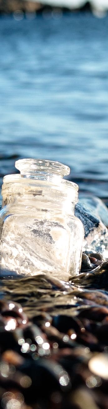 ALGICA - Swedish Algae - Silica - 112945-52-5 - 60676-86-0