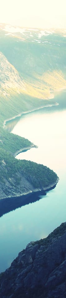 NutriScience Innovations - Knowde