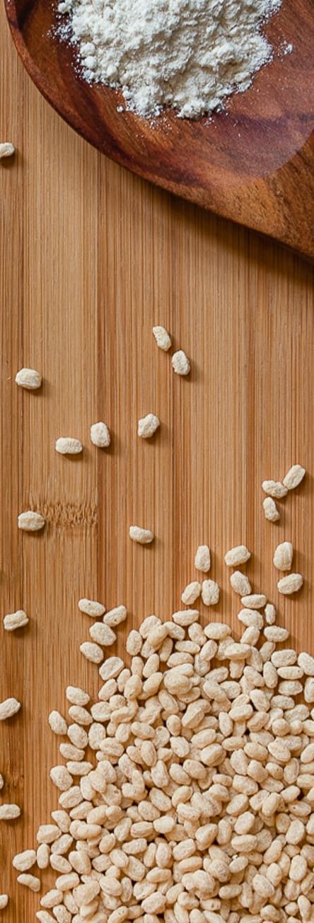 PGP International - Food Coatings - Crisps - Dessert - Knowde