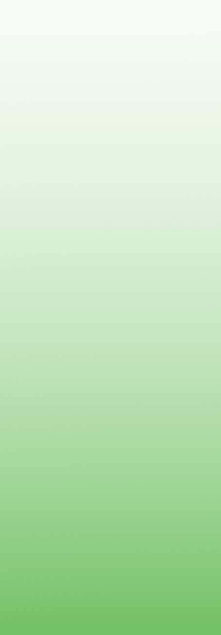 Microencapsulated Ferric Pyrophosphate - Lipotech - Supplement