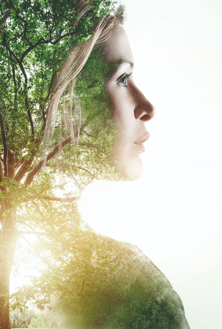 CLEARAM CH 20 20 Modified Starch - Roquette - Thickener - Non-GMO