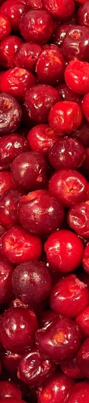 Cherry Central Unsweetened Peach Flavored Applesauce (FP 01-90) - Knowde