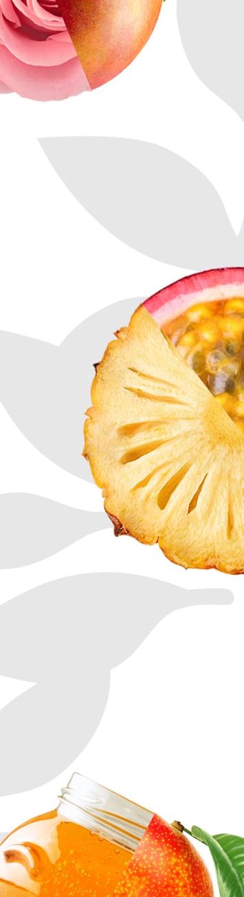 Flavor Producers - Flavors - Extracts - Natural - Organic