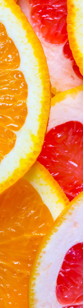 Flavanoid - Neohesperidine DC Feed Grade - Bordas - Sweetener