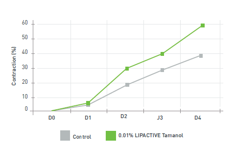 Greentech Tamanol Organic IL - Calophyllum Inophyllum Seed Oil