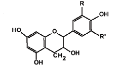 Cernilys - Greentech - Cedrus Atlantica Bark Extract - 92201-55-3