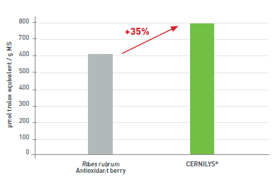 Cernilys - Greentech - Cedrus Atlantica Bark Extract - 92201-55-3