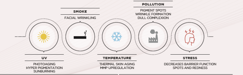 ExpoZen - Greentech - Hydrolyzed Rhodophyceae Extract - BSE-free