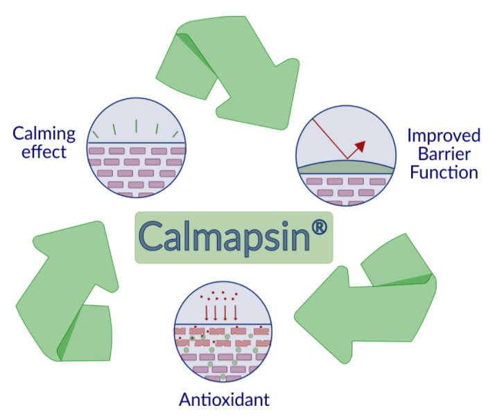 Calmapsin - AntalGenics - Antioxidant - Knowde