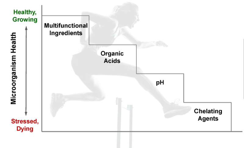 Lexgard® MHG Natural MB - INOLEX - Knowde