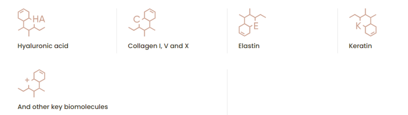 Eggnovo Ovoderm - Egg Shell Membrane - Animal Origin - Halal