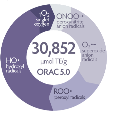 DELPHINOL - MNL group - Maqui Berry - Solid - Plant-Based