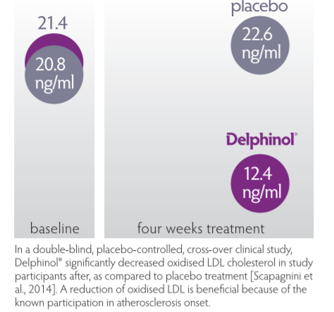 DELPHINOL - MNL group - Maqui Berry - Solid - Plant-Based