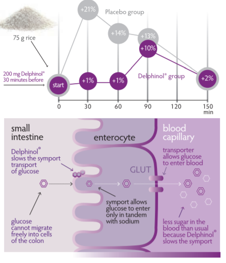 DELPHINOL - MNL group - Maqui Berry - Solid - Plant-Based