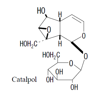 Ichimaru Pharcos JIOU Liquid B - ICHIMARU PHARCOS - Natural
