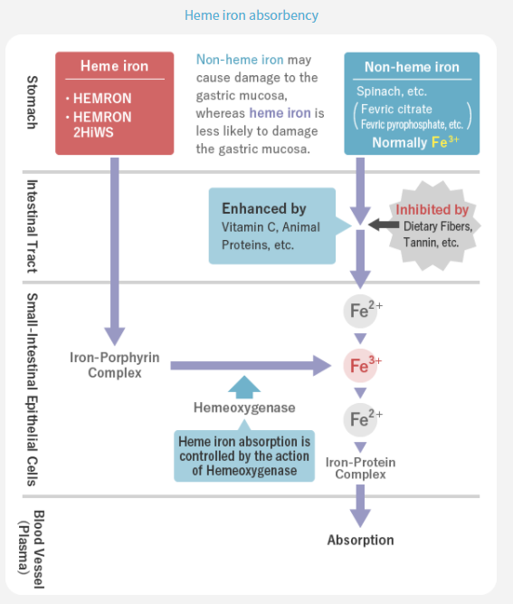 ILS Heme Iron - Mineral - Knowde