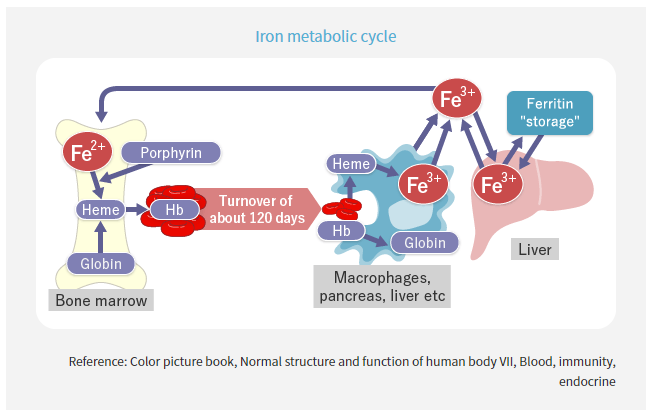 ILS Heme Iron - Mineral - Knowde