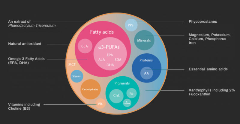 BrainPhyt - Microphyt - Enhance Memory And Mental Clarity
