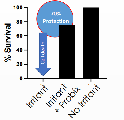 PROBIX - LACTOBACILLUS FERMENT LYSATE - Biotix - Anti-Aging Agent