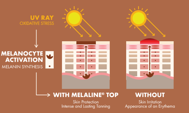 MELALINE TOP - LC Ingredients - Hydrolyzed Keratin - Halal