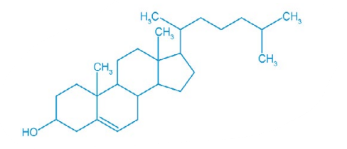 Carbogen Amcis Cholesterol NF - Carbogen Amcis - Knowde