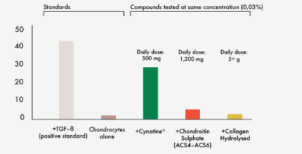 CYNATINE FLX - LC Ingredients - Keratin Hydrolysate - Vegetarian