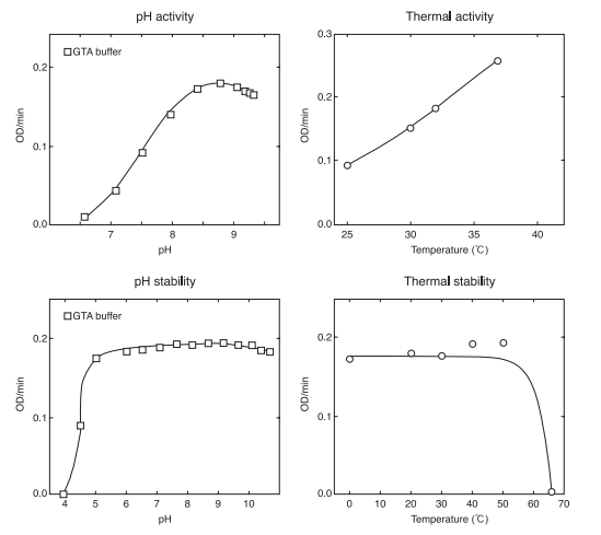 OYC Americas Glutamate Dehydrogenase (GLDH – Yeast) - Enzyme