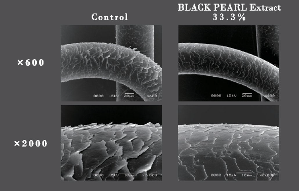 BLACK PEARL Extract™ - Seiwa Kasei - Knowde