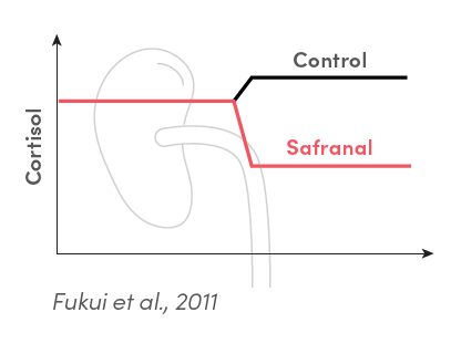 Safr’Inside CO PR-0153 - Activ'Inside - Saffron Extract - Knowde