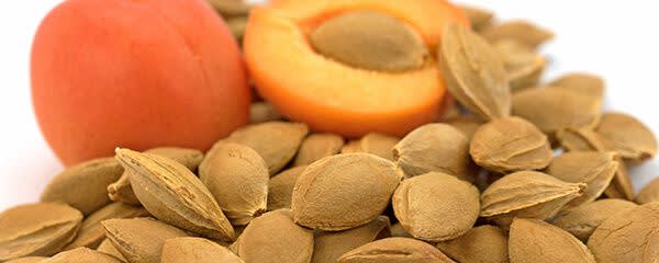 DUB - Stearinerie Dubois - Knowde