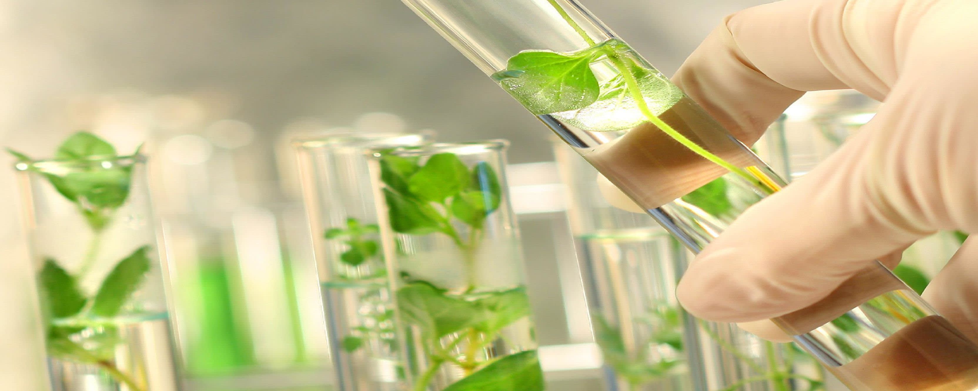 Coscare - Nano Tech Chemical Brothers - Knowde