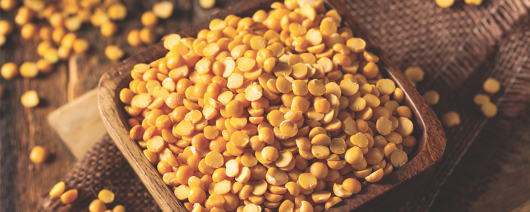 Guzen Development, Inc. - Knowde