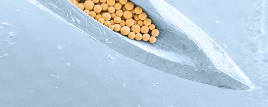 RESOMER - Evonik - Knowde