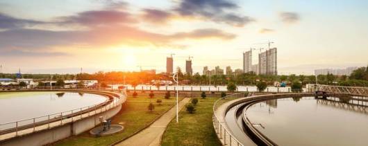 POLYCAT - Evonik - Knowde