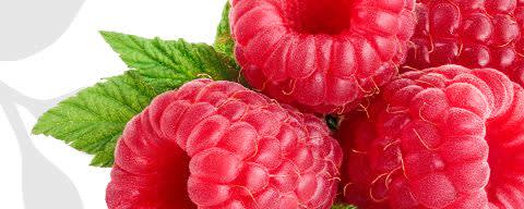 Products - Flavor Producers - Knowde