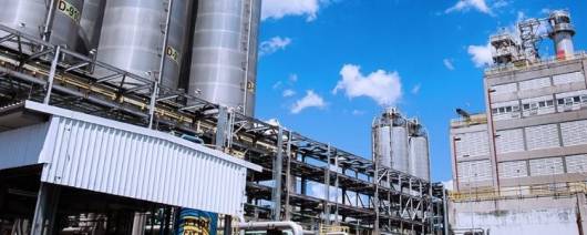 Brands - Braskem America