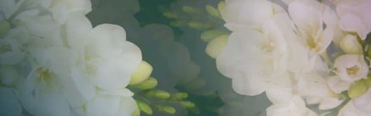 Products - Flavorchem & Orchidia Fragrances