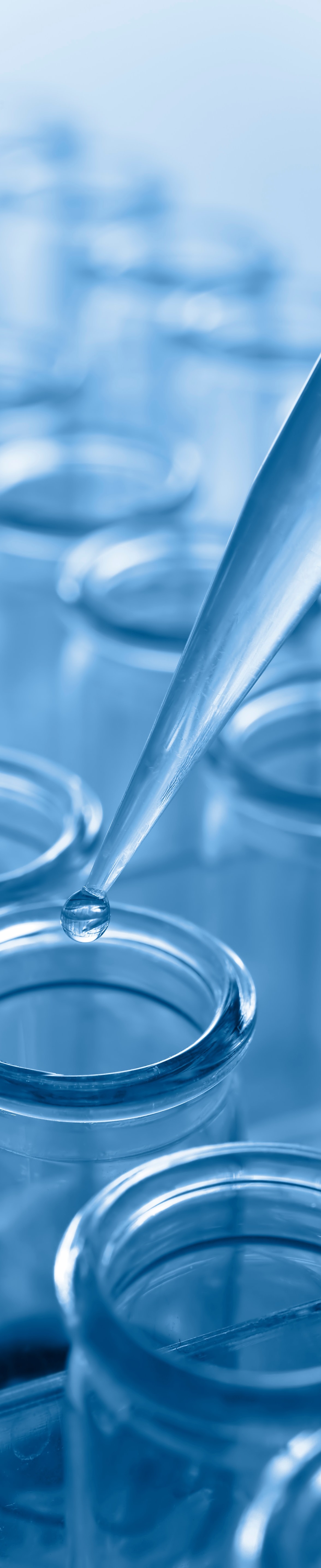 Esti Chem - ESTISOL 271 - Solvent - High Flash Point - Knowde