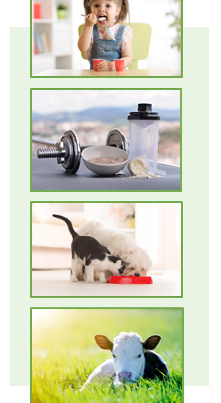 GOFOS P95 Food - Galam - Fiber Source - Halal - EU Compliant