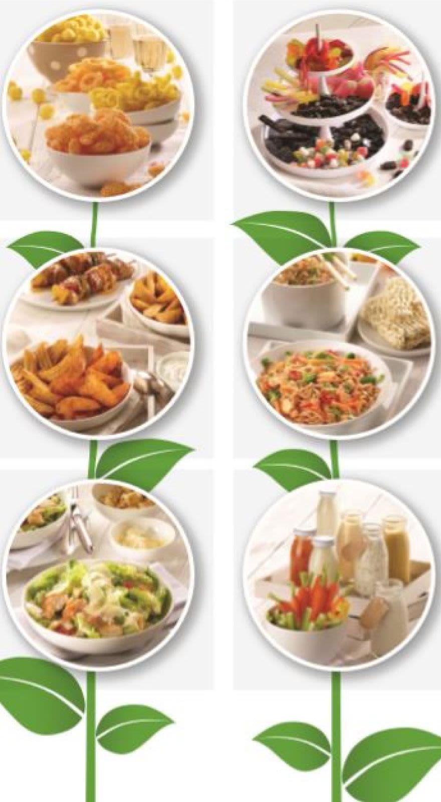 Emflo 991 Modified Potato Starch - Emsland Group - Binder