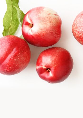 Shrieve Chemical - Sulfur - Sulfuric Acid - Nitrogen - Oilfield